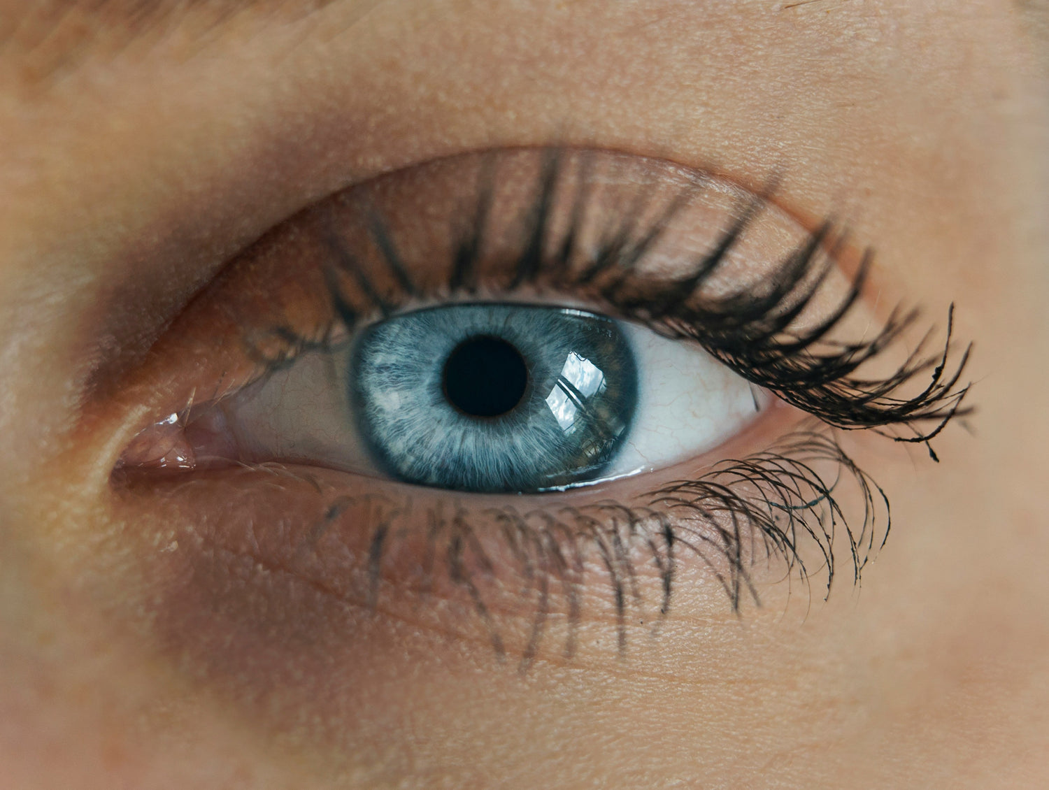5 Interesting Facts About Blue Eyes in 2025